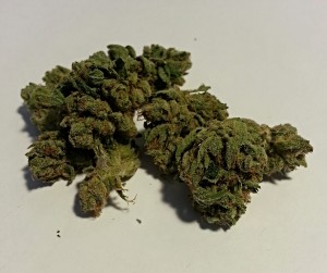 King Louis XIII from OCPC Medical Marijuana Review - OC Weed Review