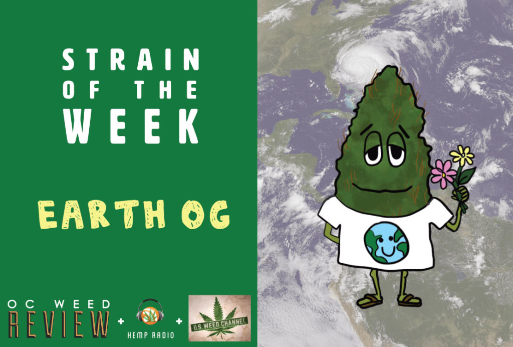 Strain of the Week: April 19, 2015 (Earth OG) - OC Weed Review
