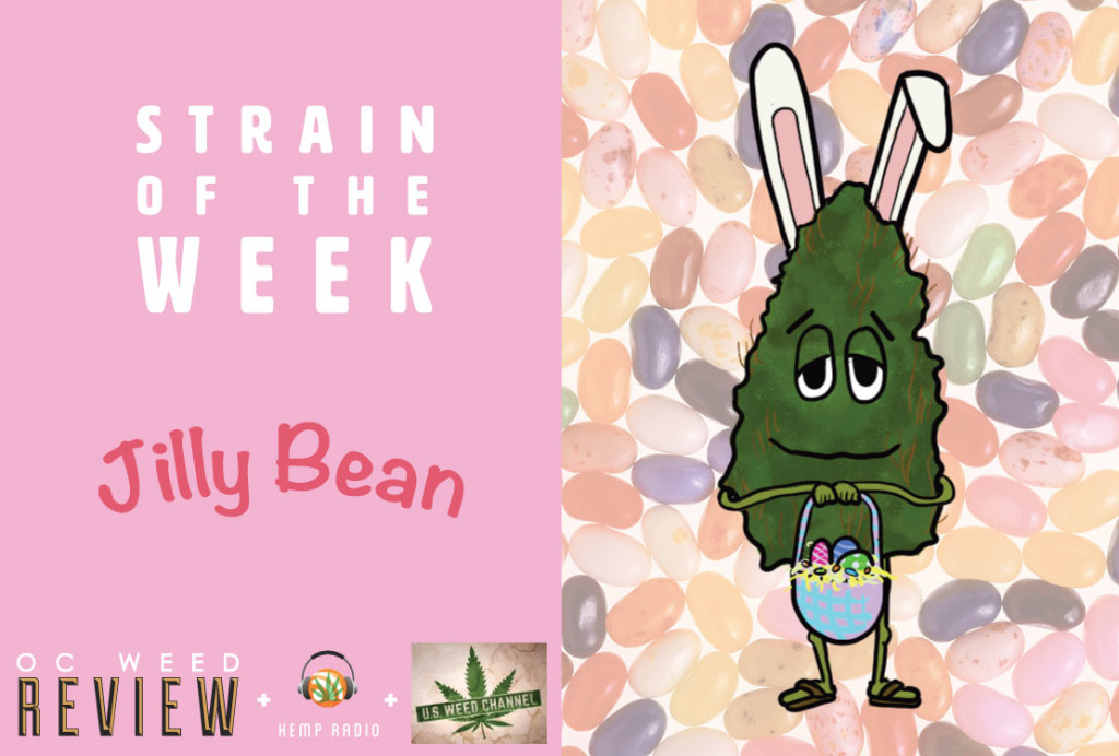 Strain of the Week: April 5, 2015 (Jilly Bean) | OC Weed Review