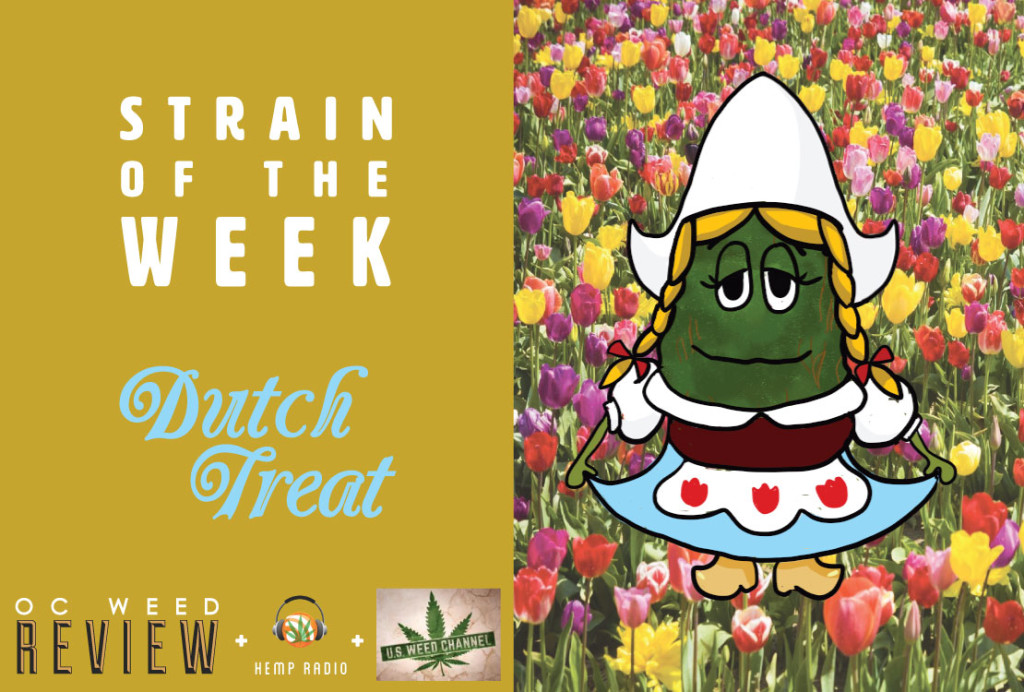 Strain of the Week: May 24, 2015 (Dutch Treat) - OC Weed Review
