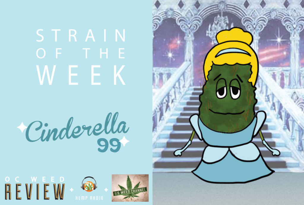 Strain of the Week: July 5, 2015 (Cinderella 99) | OC Weed Review
