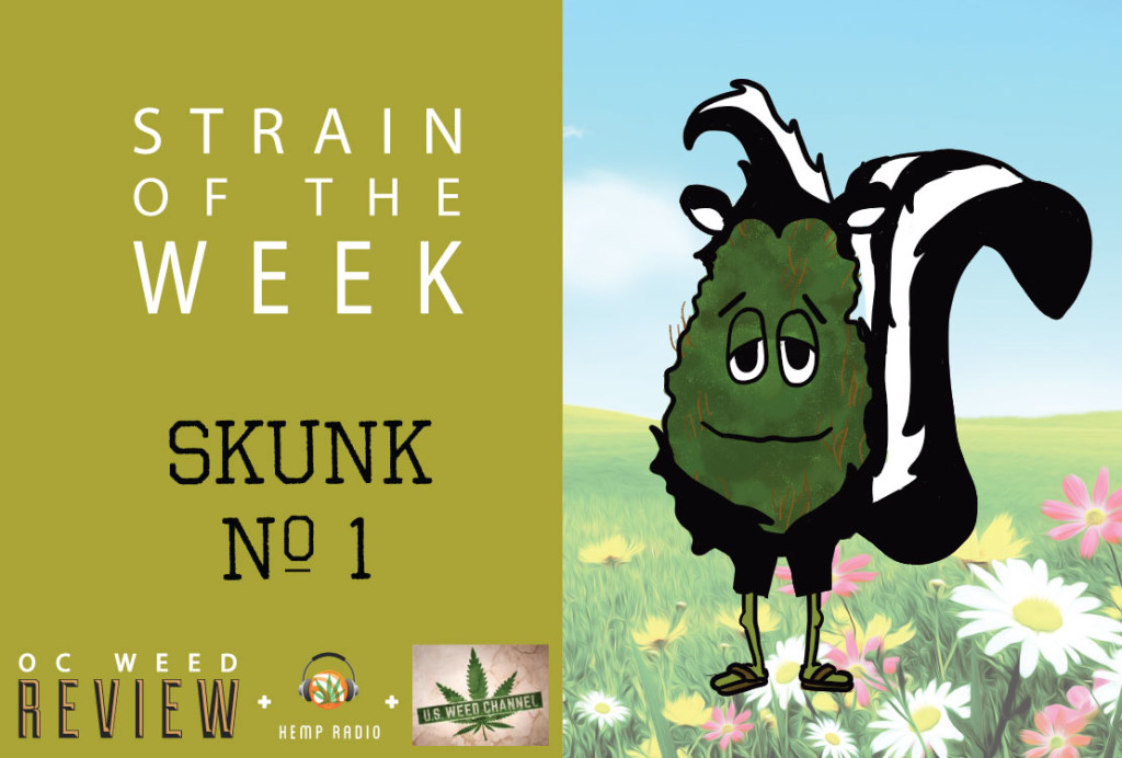 Strain of the Week: July 5, 2015 (Skunk #1) | OC Weed Review