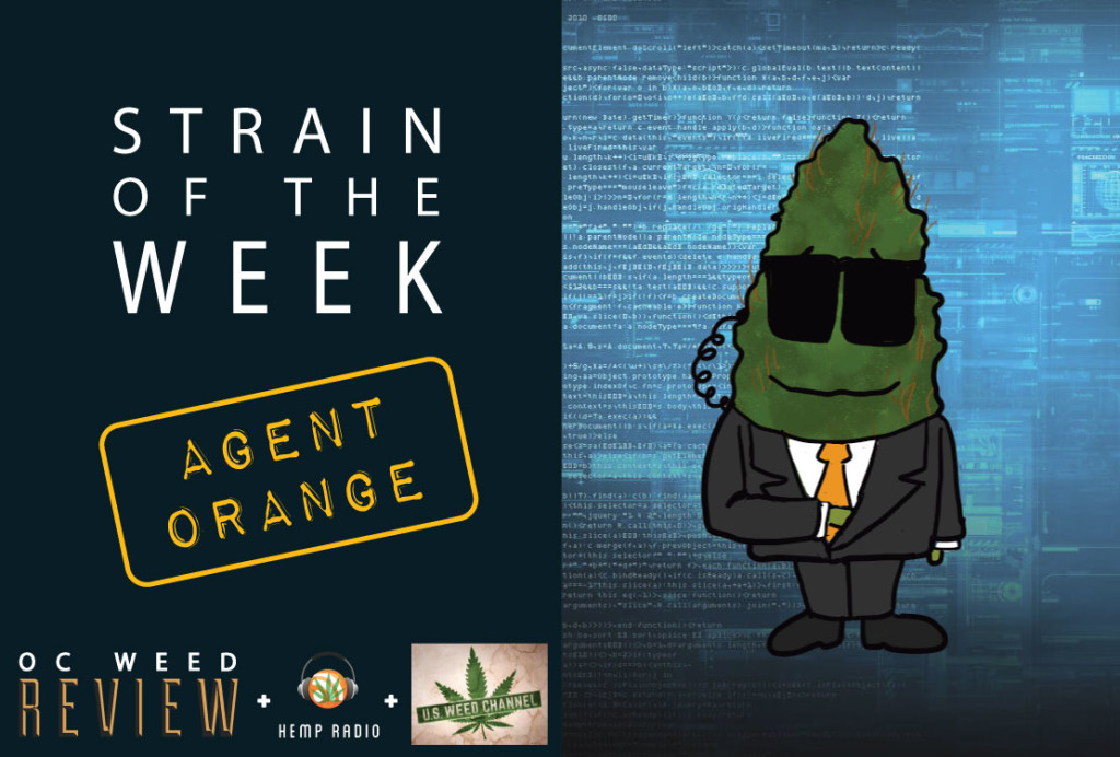 Strain of the Week: Aug. 16, 2015 (Agent Orange) - OC Weed Review