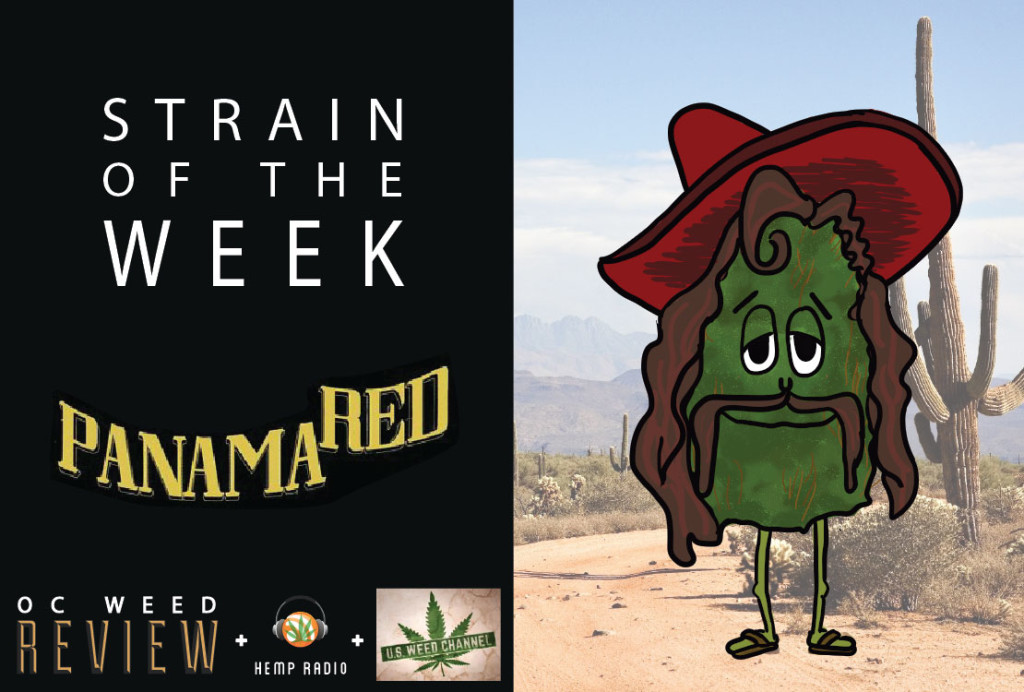 Strain of the Week: Aug. 2, 2015 (Panama Red) | OC Weed Review